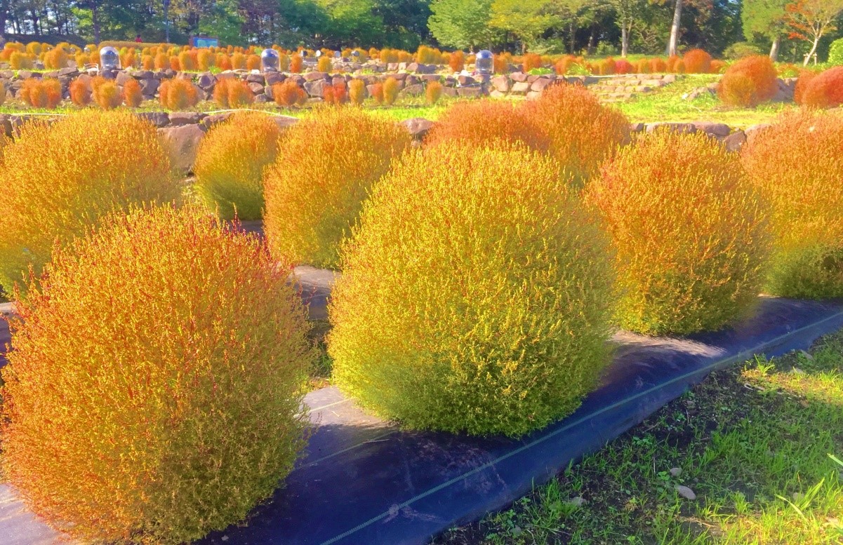 Experience Tohoku’s nature and culture at Michinoku Park | tohoku365